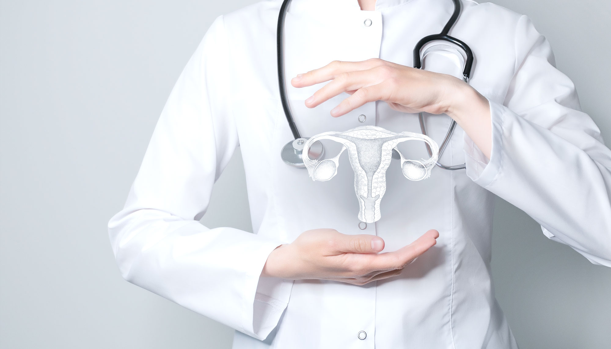 MYOBLATE 공식 웹사이트